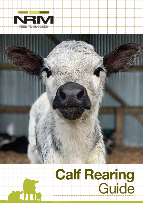 Calf - NRM - Feed To Succeed