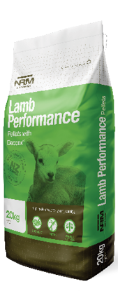 Sheep and Lamb - NRM - Feed To Succeed